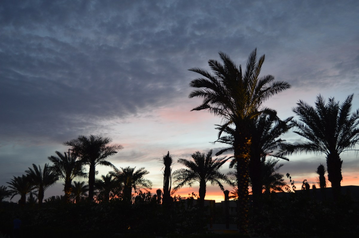 Living in the ‘Pound: A Glimpse of Life on a Western Compound in Saudi ...